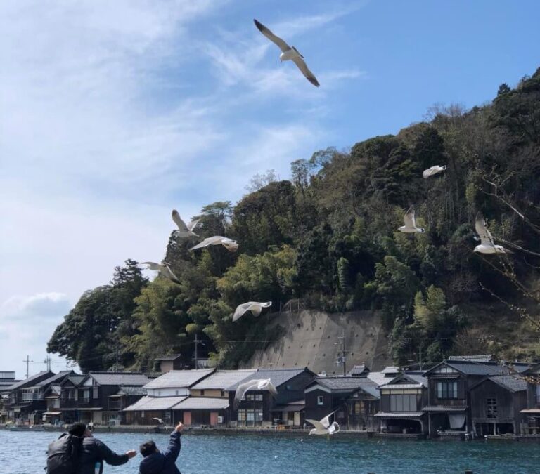 Ine Funaya Itinerary: A Travel Guide Blog - MyTravelBuzzg