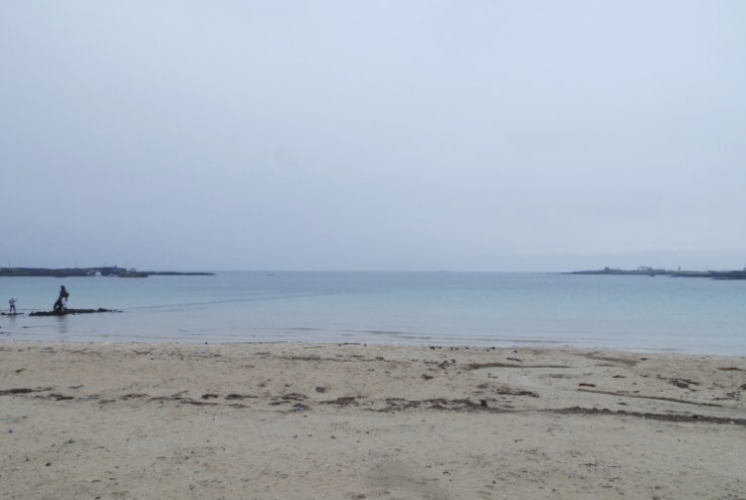 Jeju Road Trip Itinerary: A Guide for Day Trip To Udo Island ...