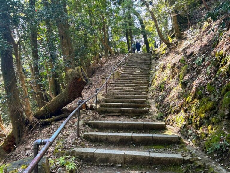 Kurama itinerary: Hiking Trip Travel Guide Blog - MyTravelBuzzg