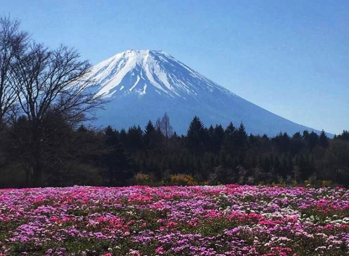 How To Get To Aso and Getting Around - MyTravelBuzzg