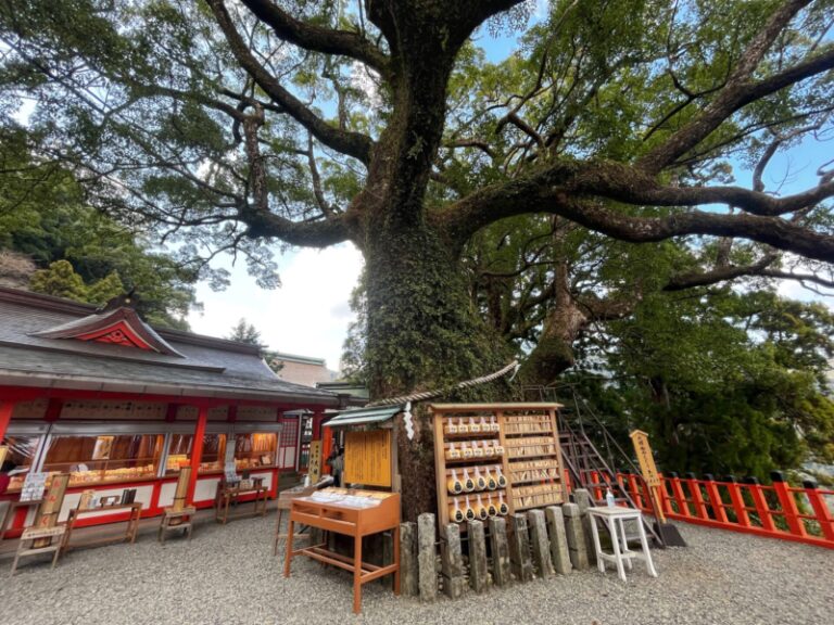 Nachi Falls Itinerary: A Travel Guide Blog - MyTravelBuzzg