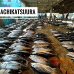 Ine Funaya Itinerary: A Travel Guide Blog - MyTravelBuzzg