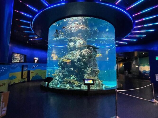 Sentosa Island Itinerary: A Travel Guide Blog - MyTravelBuzzg