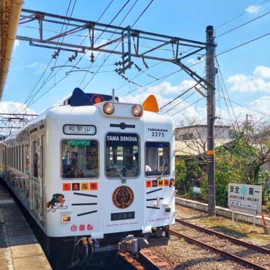 Ine Funaya Itinerary: A Travel Guide Blog - MyTravelBuzzg